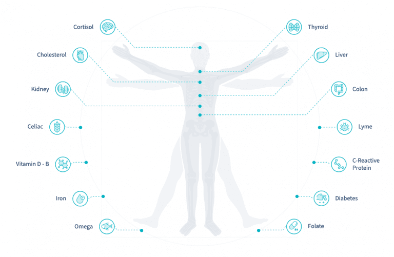 LetsGetChecked: Home Testing Kits Including COVID-19
